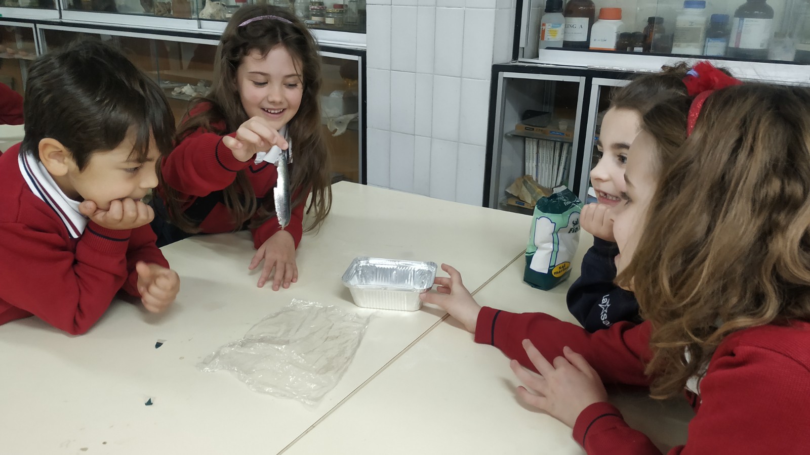 FINAL PROYECTO "LA COMIDA NO SE TIRA" - La Salle Palencia